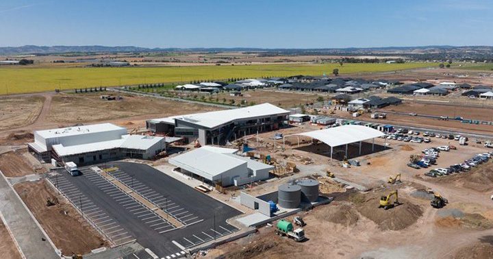 Trinity College Roseworthy Takes Great Strides Forward | Trinity College