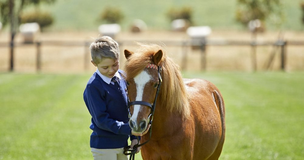 Trinity College Location | Private School Adelaide | Maps